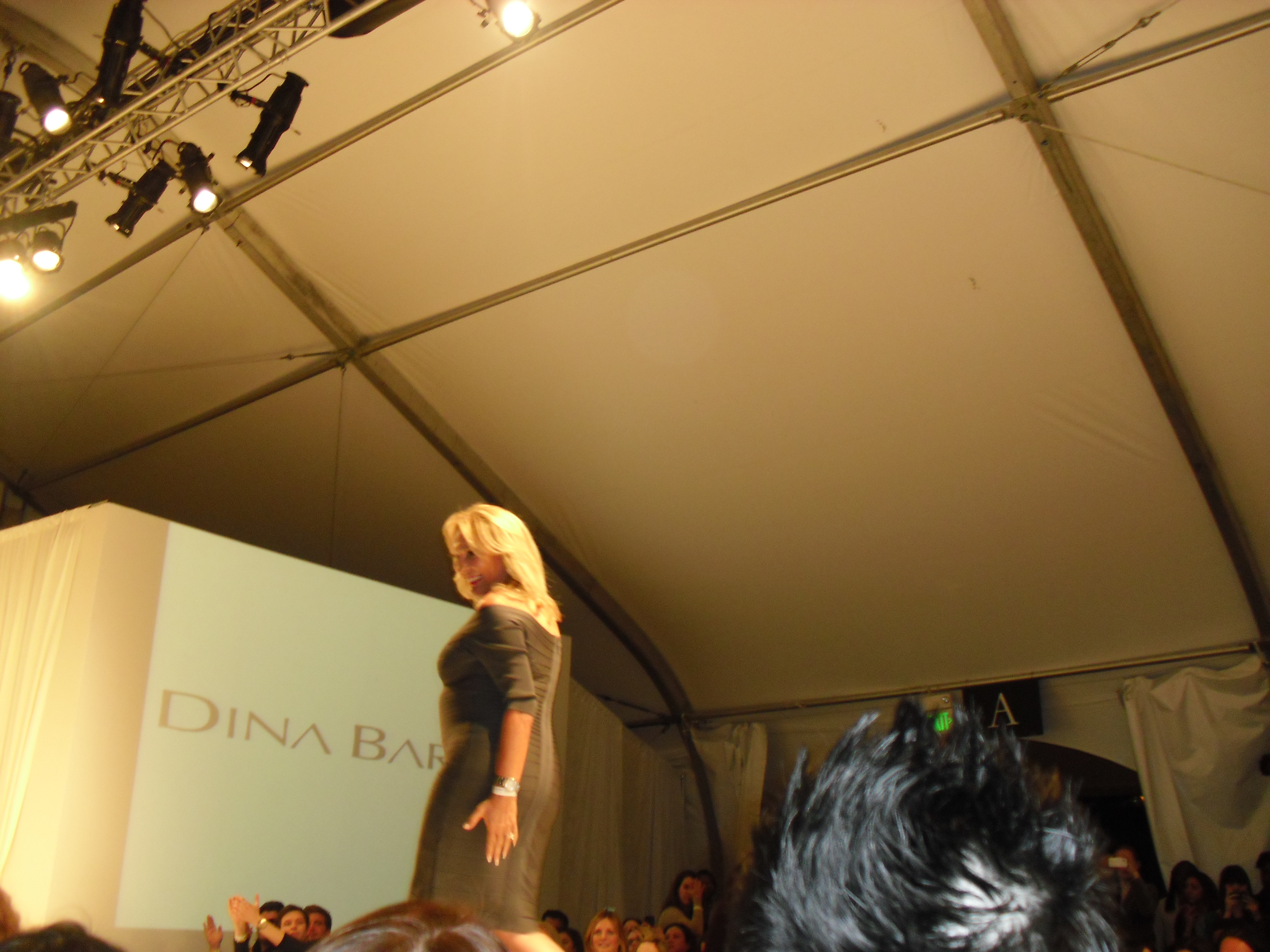 What U Missed During Fashion Week LA – Diedre Johnson's Hollywood Postcard